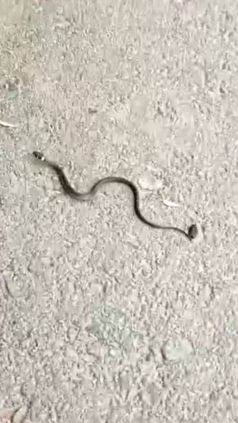 УЖИК в городе!