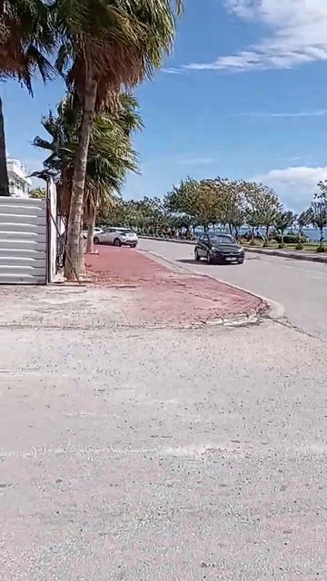 Стихия штормового ветра на улицах Анталии, трансформация в корнях Древа 9й Персидс. цивилизации.МНШУ