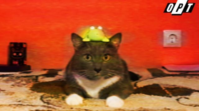 Мультфильм "Kotiynet" 1 серия "Котулькин" на Эфире Первого канала (Раньше ОРТ) Формат 4:3 (05.05.96)