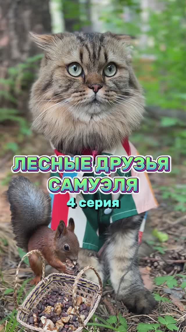Что еще любит белочка?🐿️  #котик #белка #сериал #животные #shorts