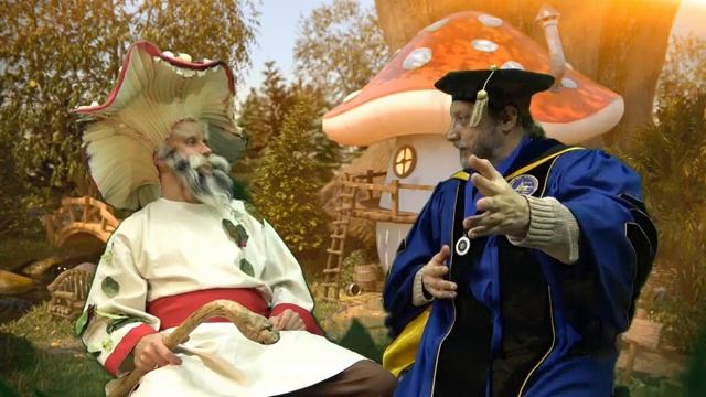 Дед Мухомор дар грибов