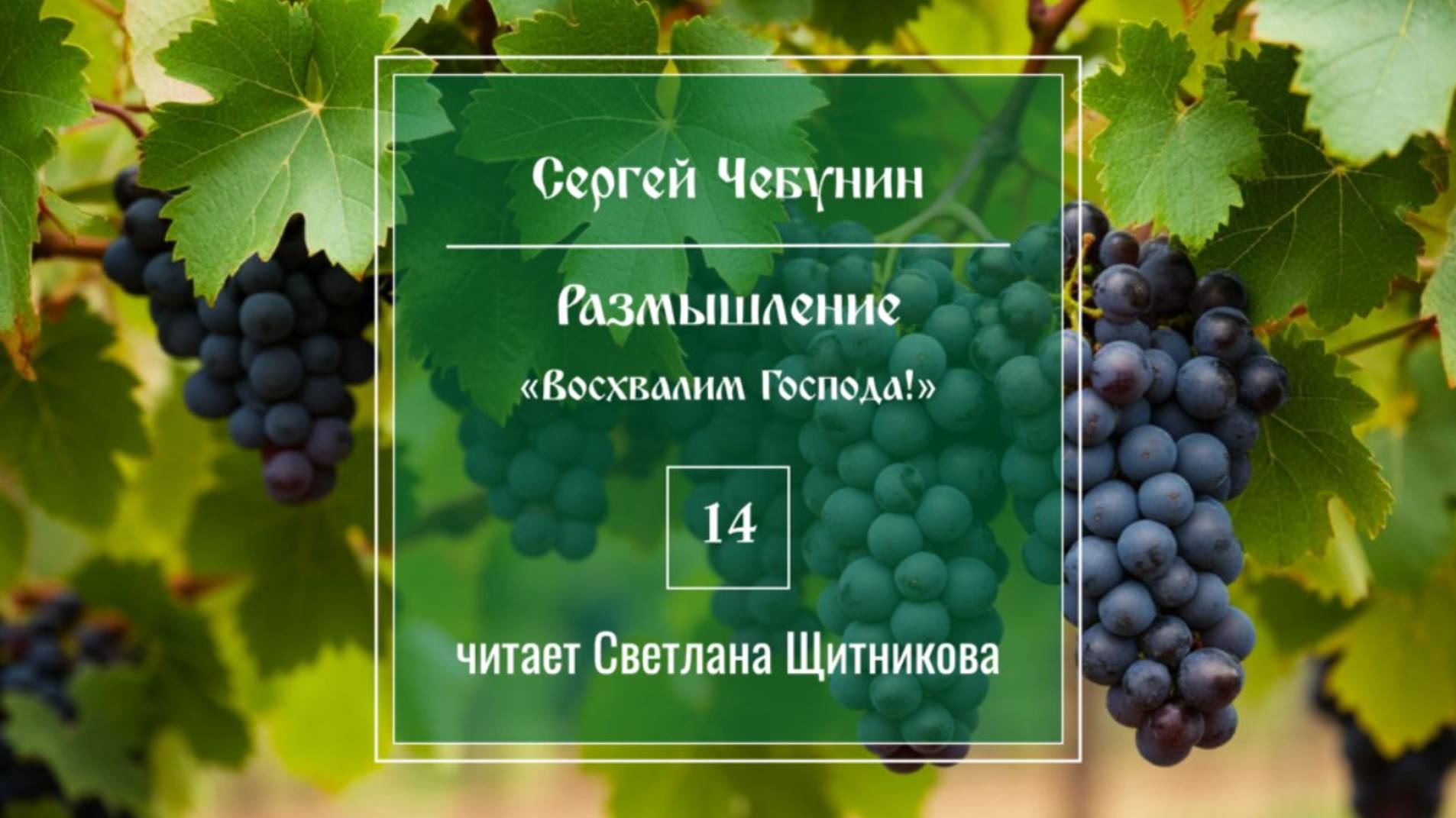 Размышление 14 (автор Сергей Чебунин, читает Светлана Щитникова)