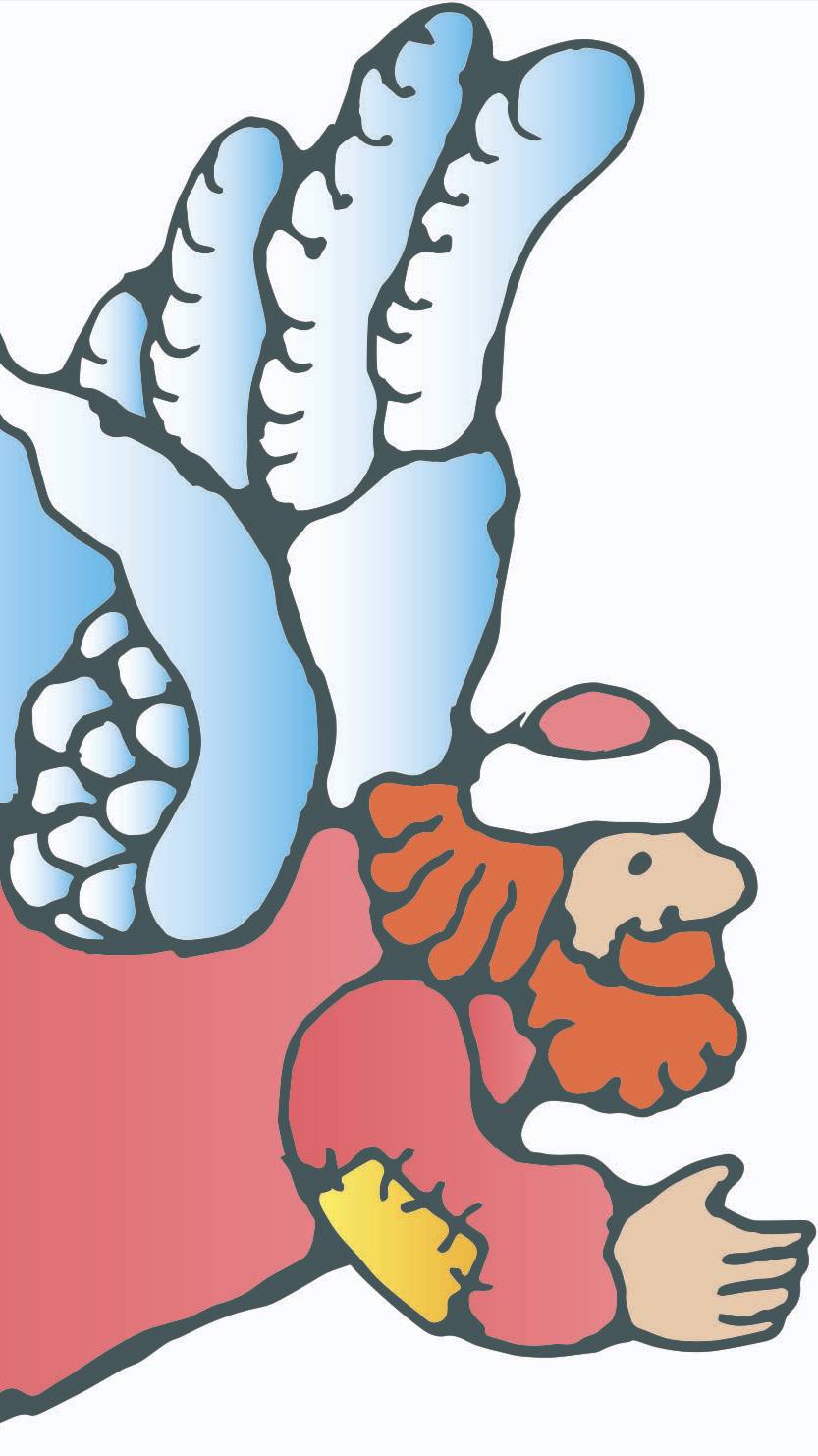 СМОЛЕНСКАЯ СКАЗКА ЛЕТУЧИЙ СТАРИК