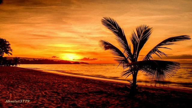 41 УСЫПЛЯЮЩАЯ МУЗЫКА ДЛЯ СНА И МЕДИТАЦИЙ