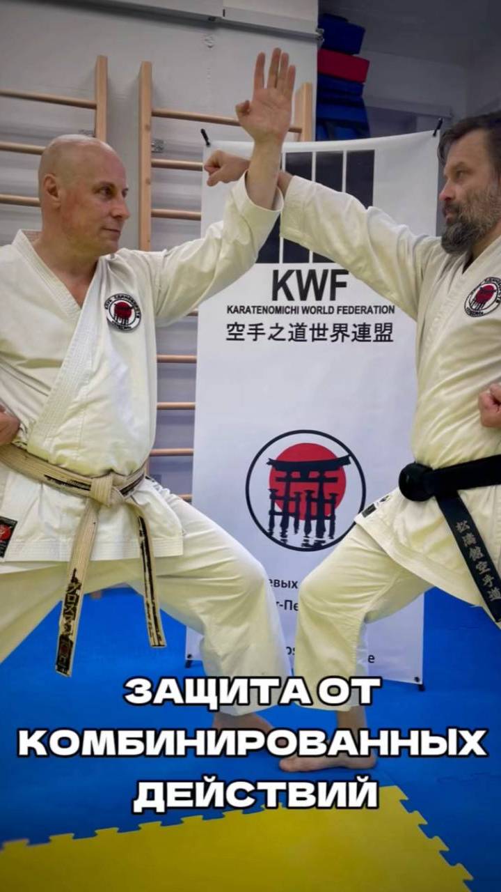 Защита от комбинированных действий. https://каратэ.онлайн