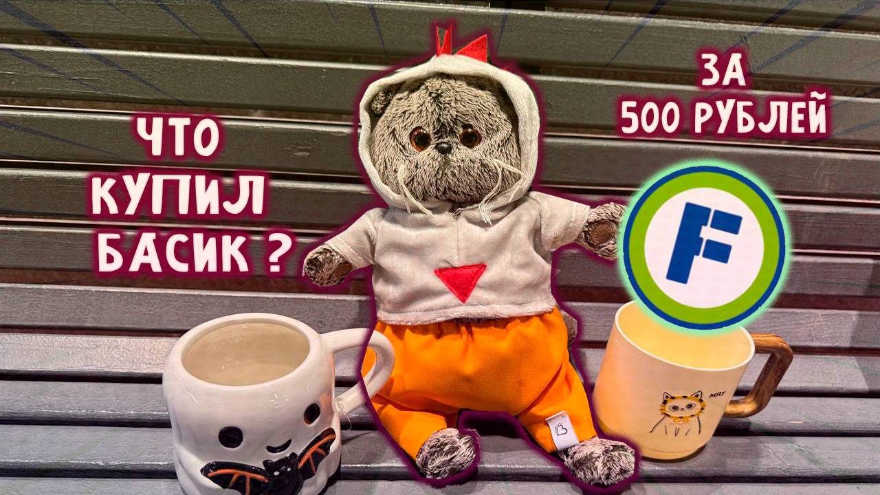 🎁🙀 ЧТО МЫ КУПИЛИ С БАСИКОМ В ФИКС ПРАЙС НА 500 РУБЛЕЙ 👀😻🎃 ВЛОГ С КОТИКОМ БАСИКОМ / БАСИК