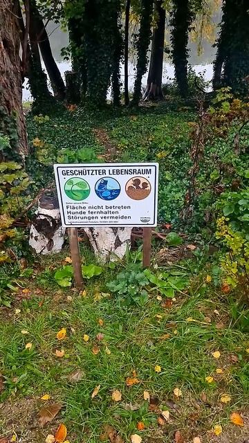 на рыбалку не пускают_(