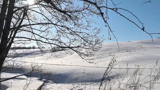 пешком по снегу