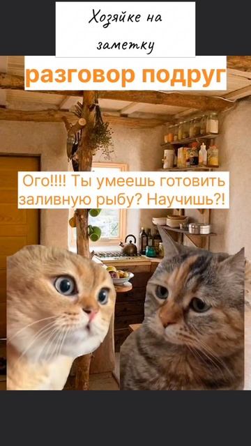 Сериал #ДваКота продолжение. Простой рецепт заливной рыбы. #юмор #рек #коты #мем #анекдот #котики #в