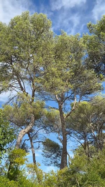 Краски осени