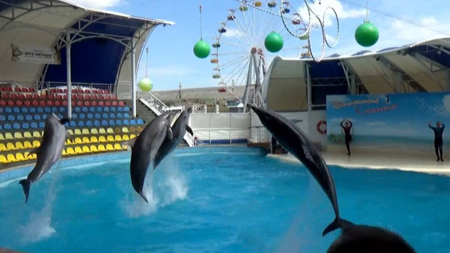 Дельфинарий в городе Коктебель