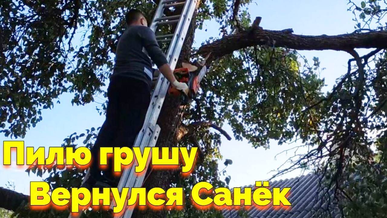 ЧУТЬ НЕ УБИЛО ГРУШЕЙ / ВЕРНУЛСЯ САНЁК (32 СЕРИЯ)