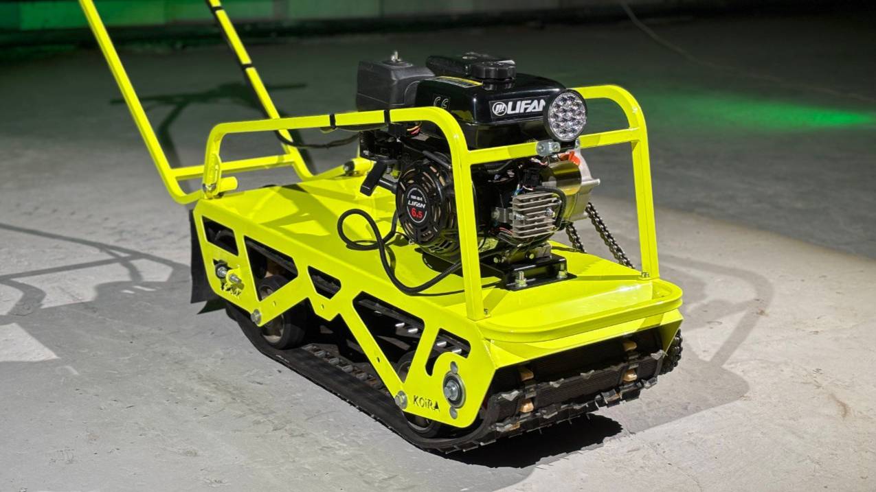 Койра Вжик к зиме готов