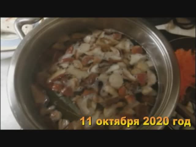 7 соток. Готовлю вкусный грибной суп. 11 октября 2020 год
