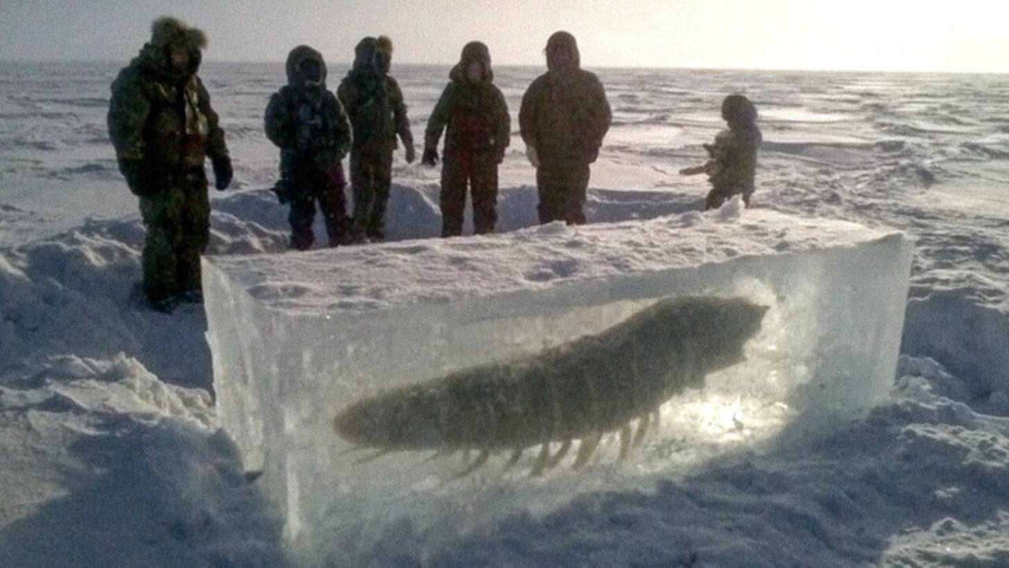 Учёные оживили замороженное существо ❄️ Ему 24 000 лет 😱🧬