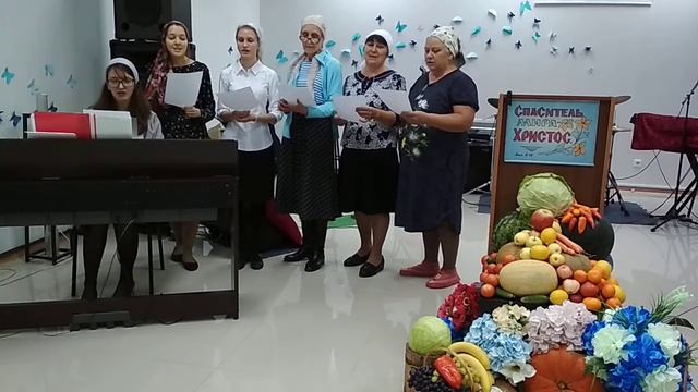 Изобильная виноградная лоза г.Оренбург 2019 г.