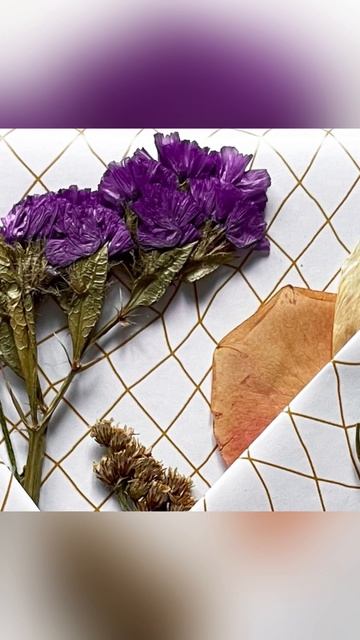 ФотоЭксперимент 7: фиолетовый цвет