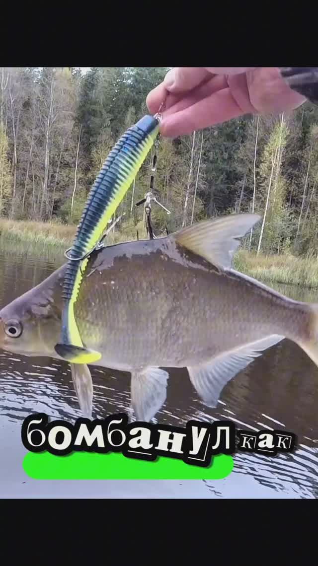 ЗАБАГРИЛ РЫБУ