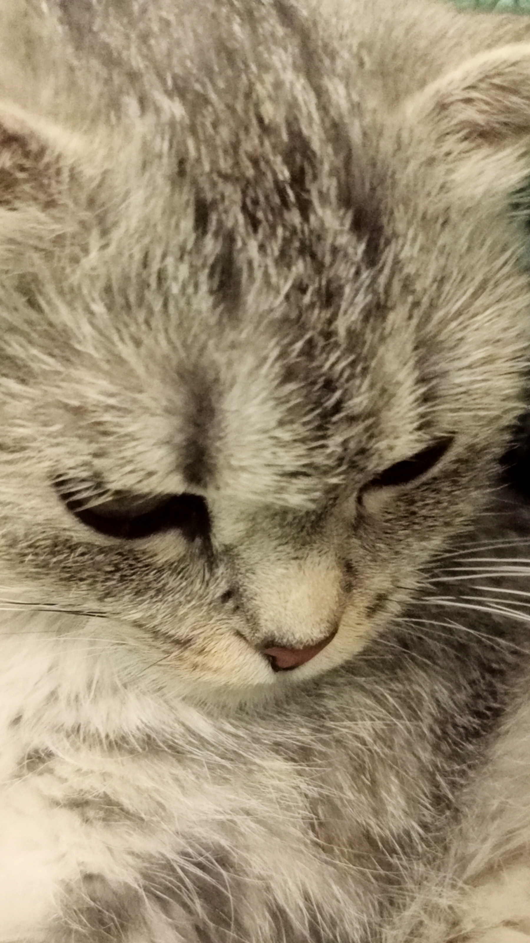 😻Всем Суперского настроения на все дни😻