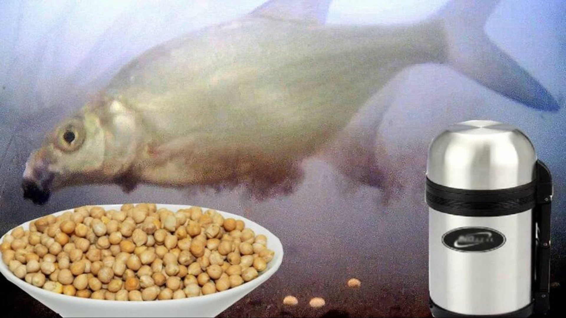 ЗАПАРЕННЫЙ ГОРОХ В ДЕЙСТВИИ! Подводная съемка