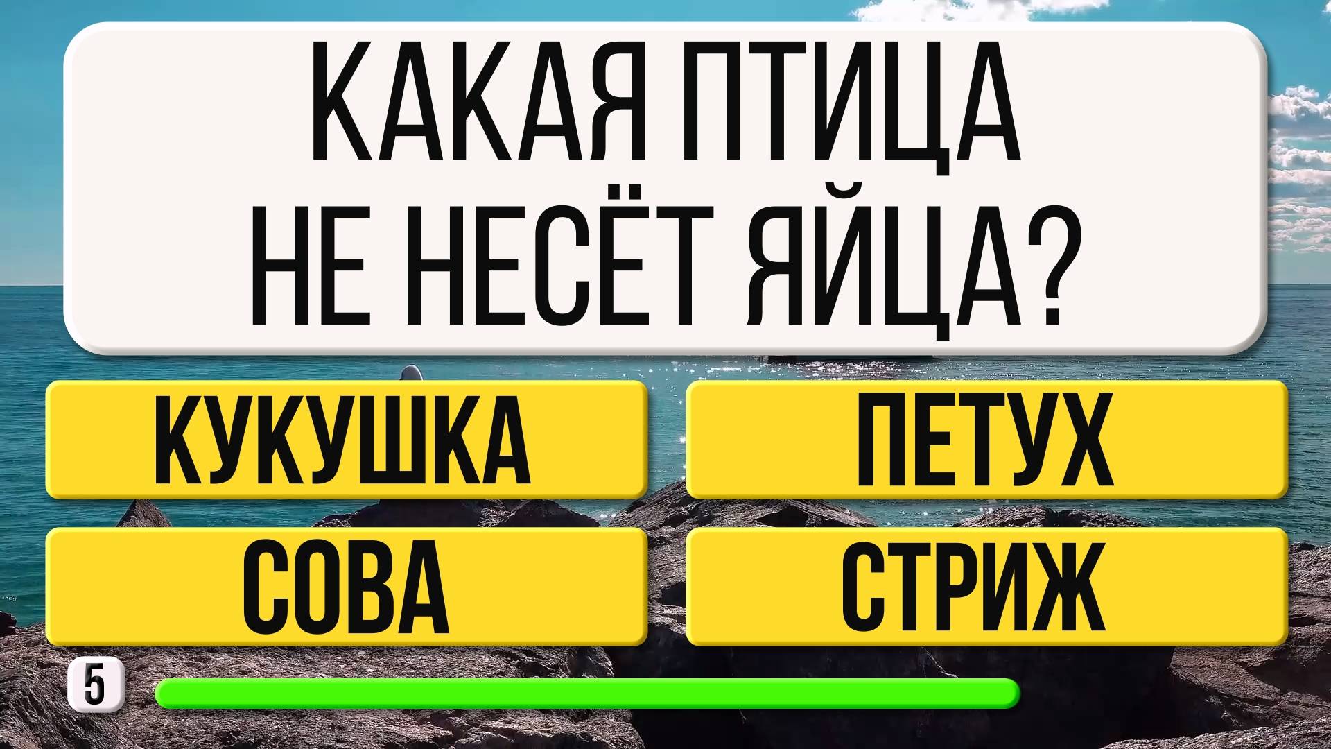 ПРОВЕРИМ ПАМЯТЬ?!🎓 | Ответь на ВСЕ вопросы - ПРОВЕРЬ СЕБЯ