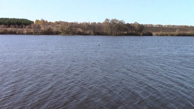 Закрытие сезона 2025 г. Карась.