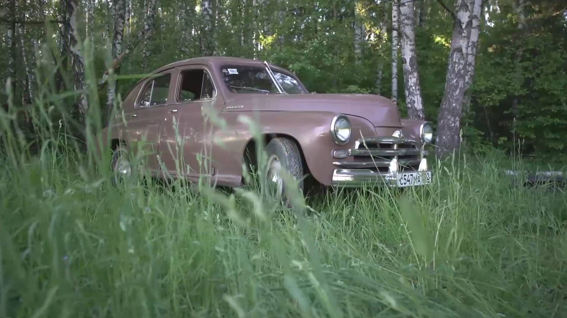 На природу - на Победе