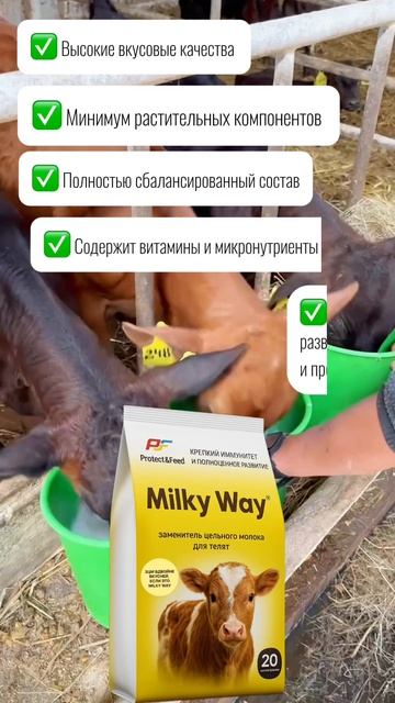 НОВИНКА! ЗЦМ Milky Way Perfecto - идеальное питание для телят!