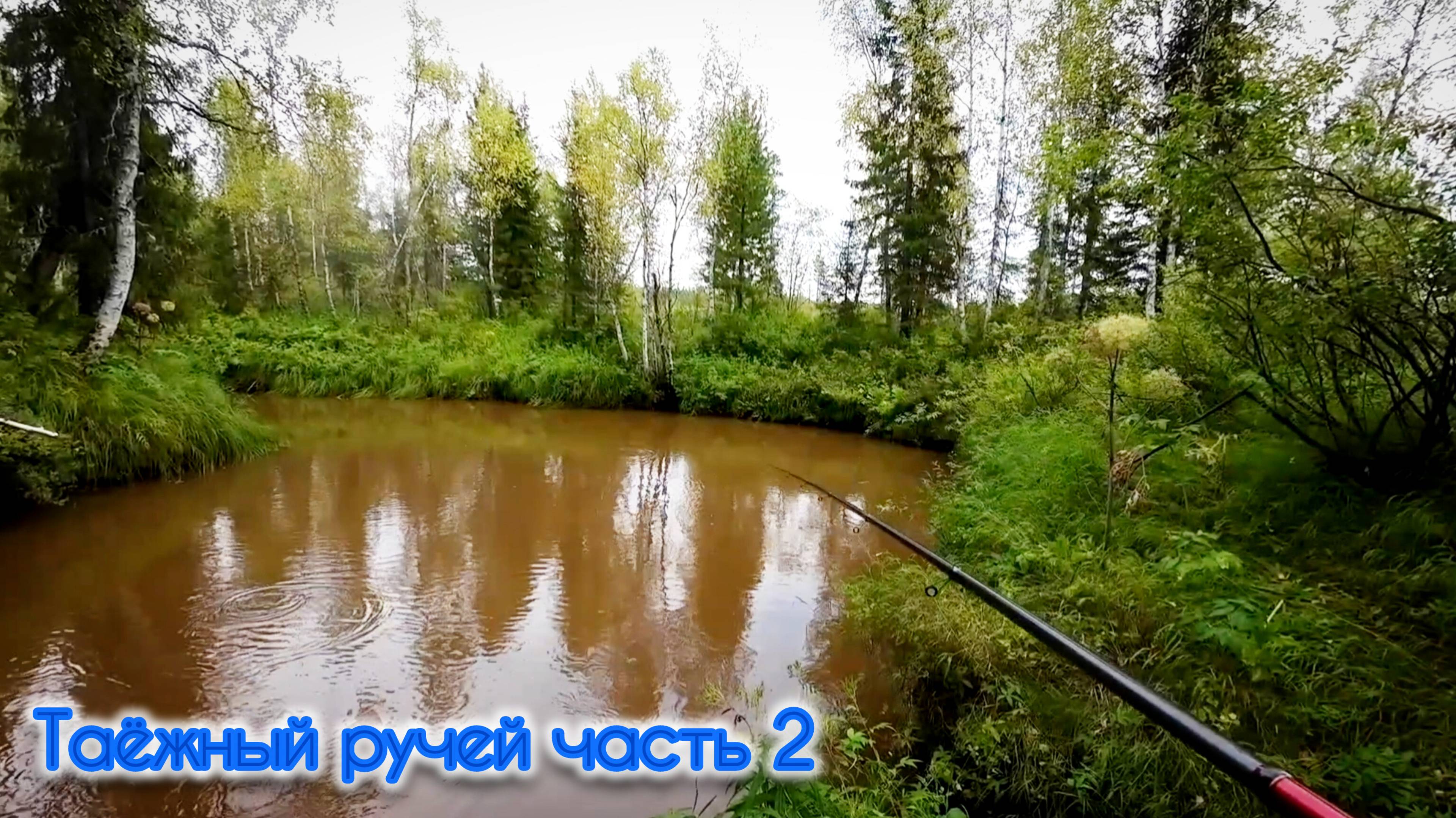 ч.2 ПОКЛЁВКИ НА КАЖДОМ ЗАБРОСЕ / НЕРЕАЛЬНАЯ РЫБАЛКА