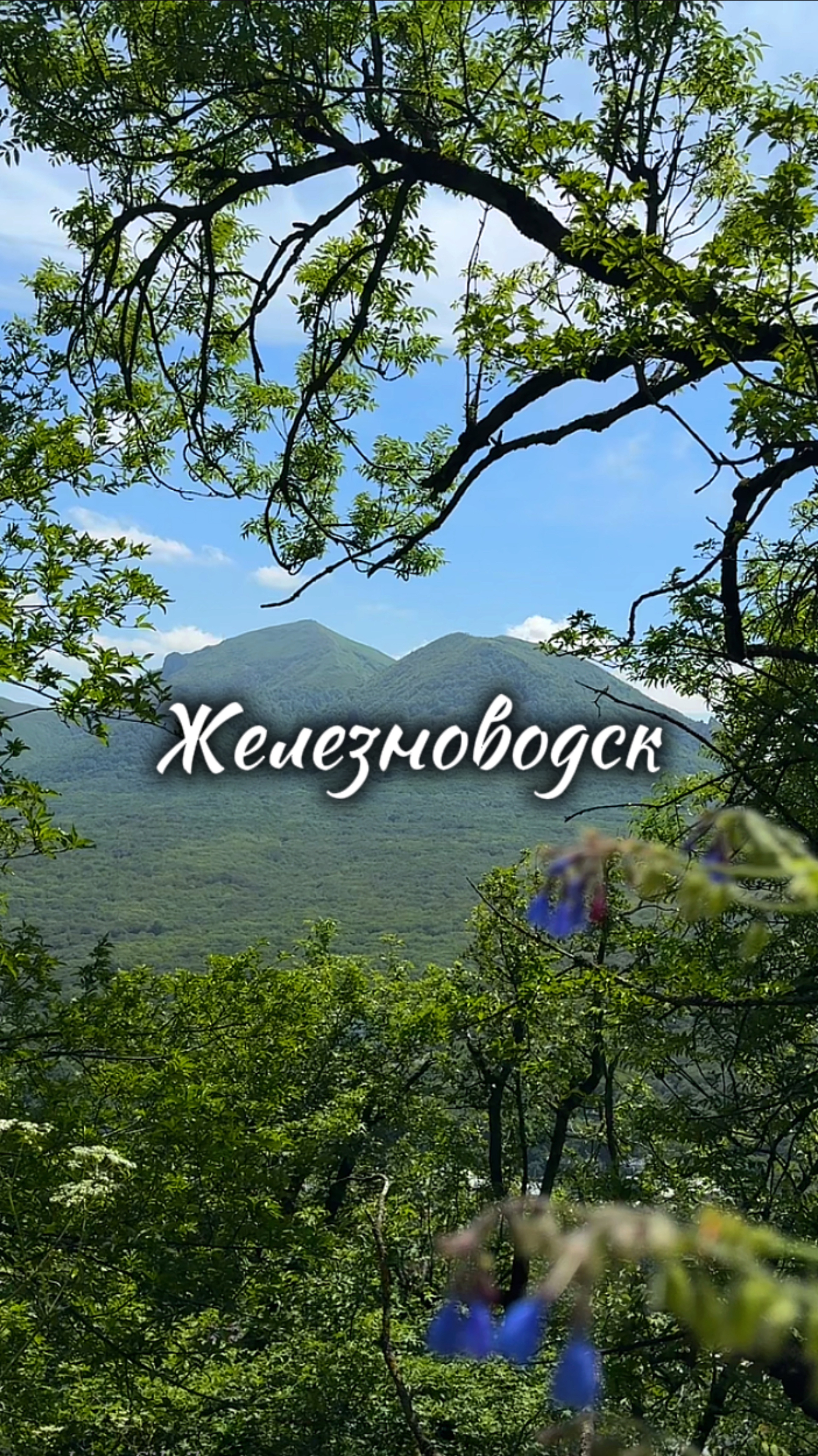 ЖЕЛЕЗНОВОДСК🏔️