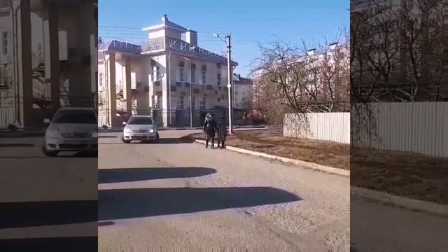 Педагоги - родителям