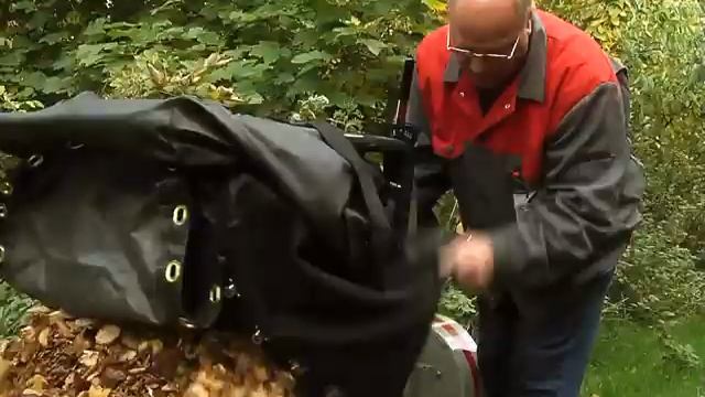 Парковый пылесос Remarc LS 5000