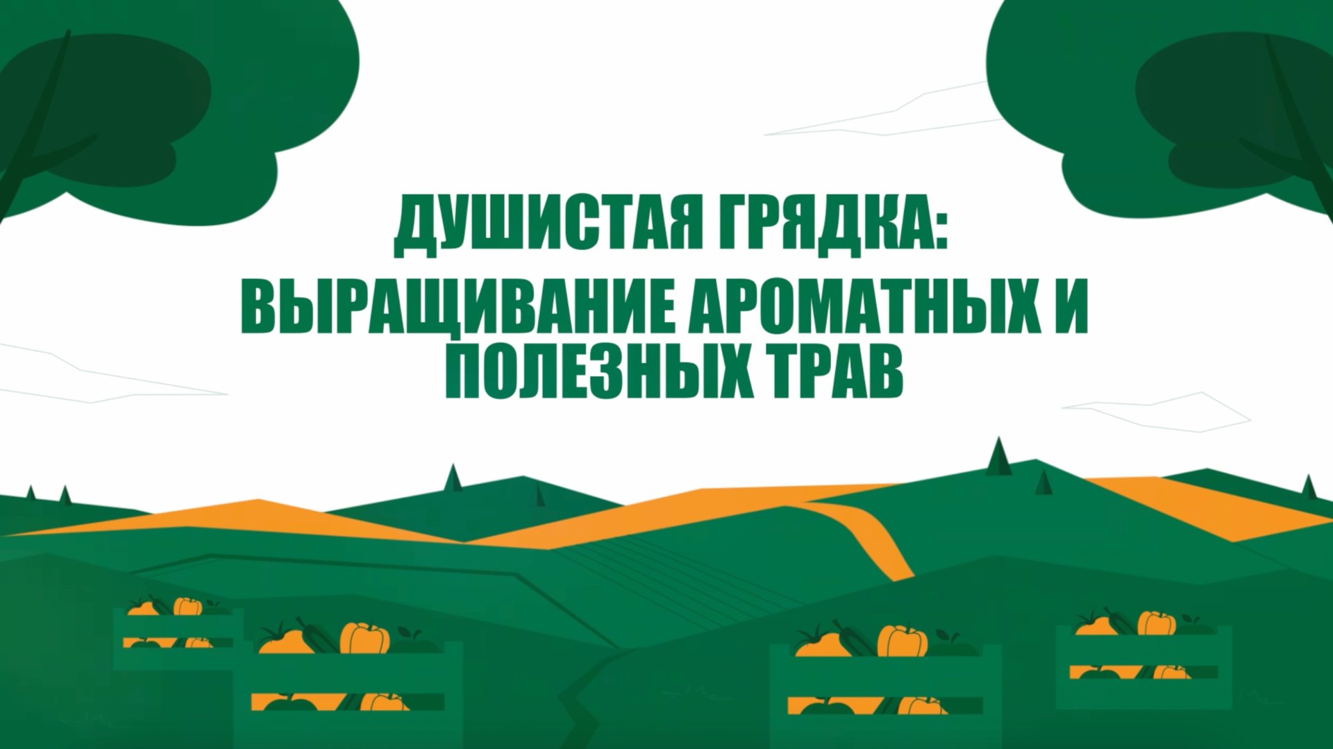 Как вырастить ароматные и полезные травы