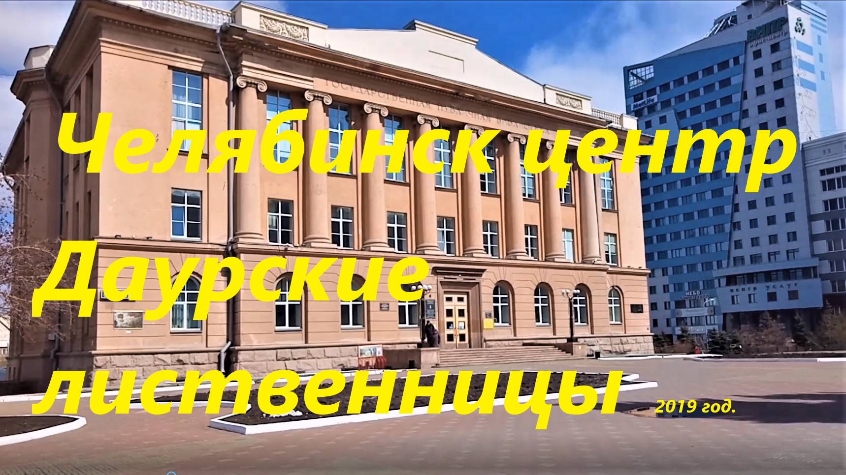 Челябинск. Центр. Государственная публичная библиотека, Даурские лиственницы -. 2019 г.