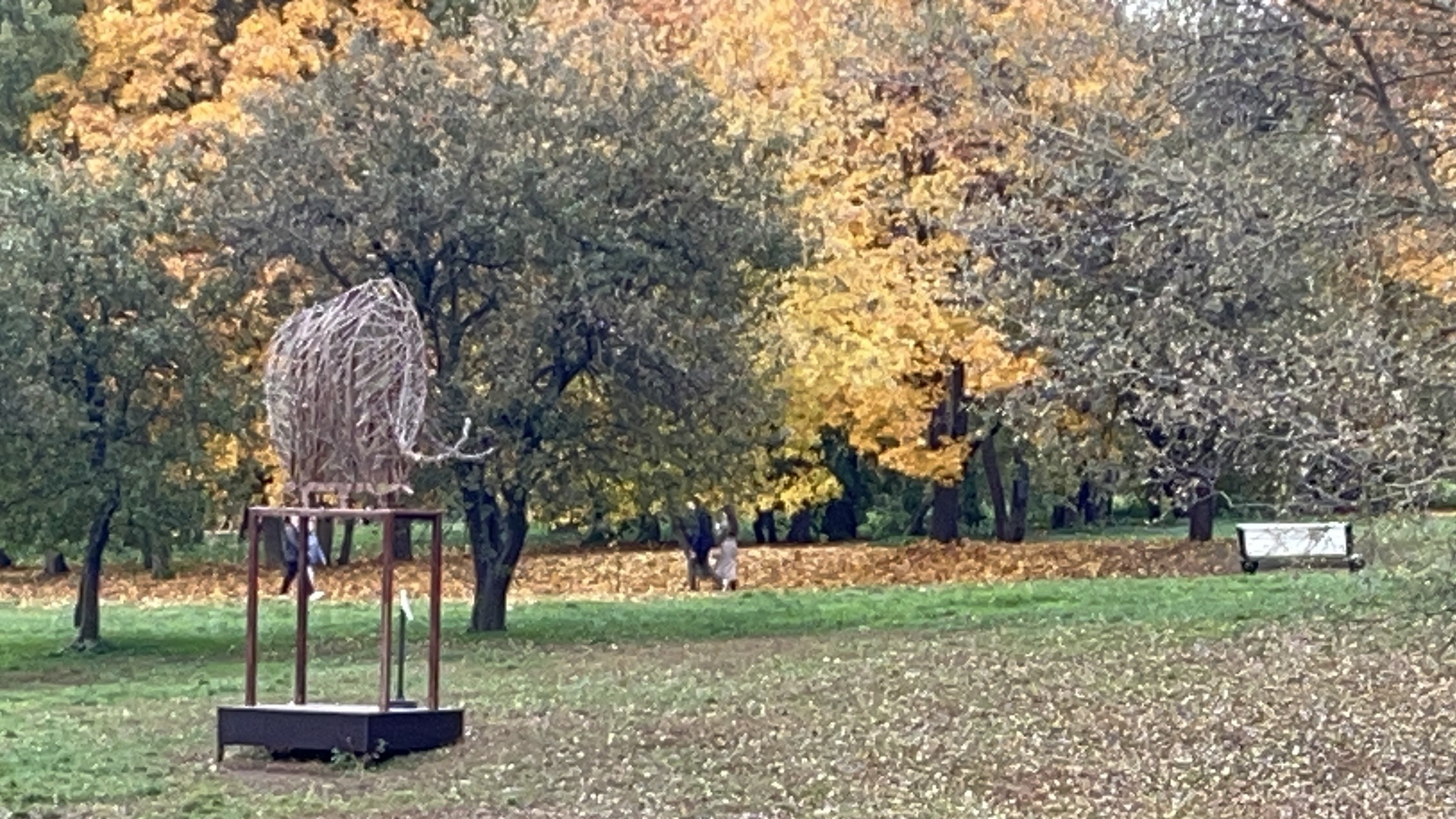 Царицыно-Мамантеус_08-10-2025