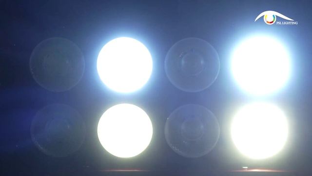 PSL Lighting WS-LED231 Световой прибор COB