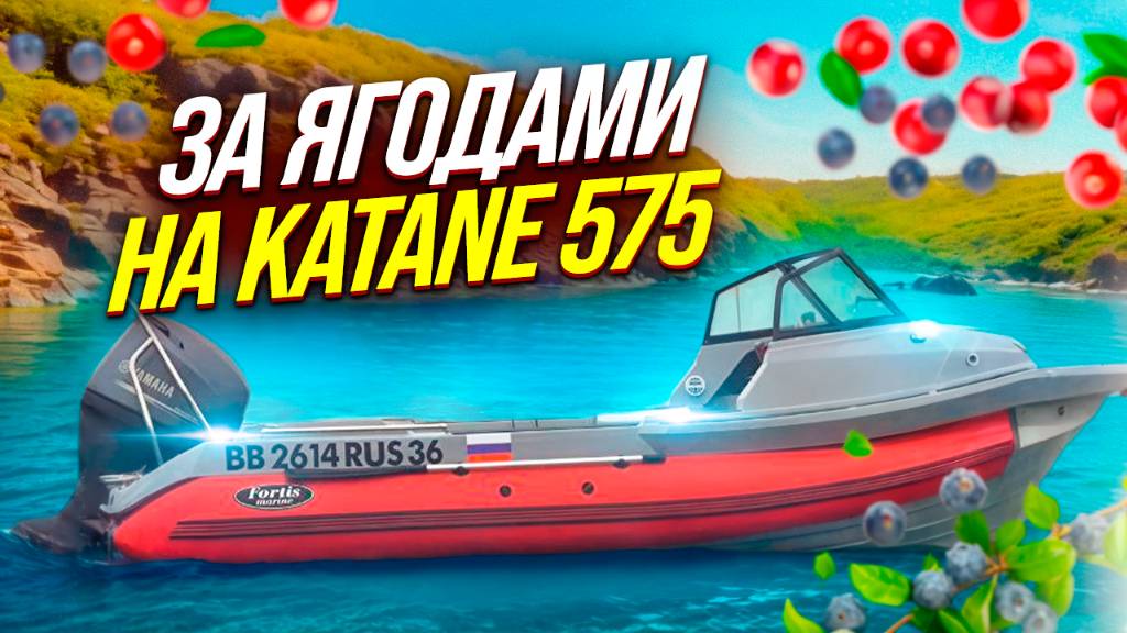 за ягодами на катане 575wa