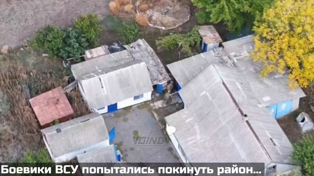 Один против пятерых