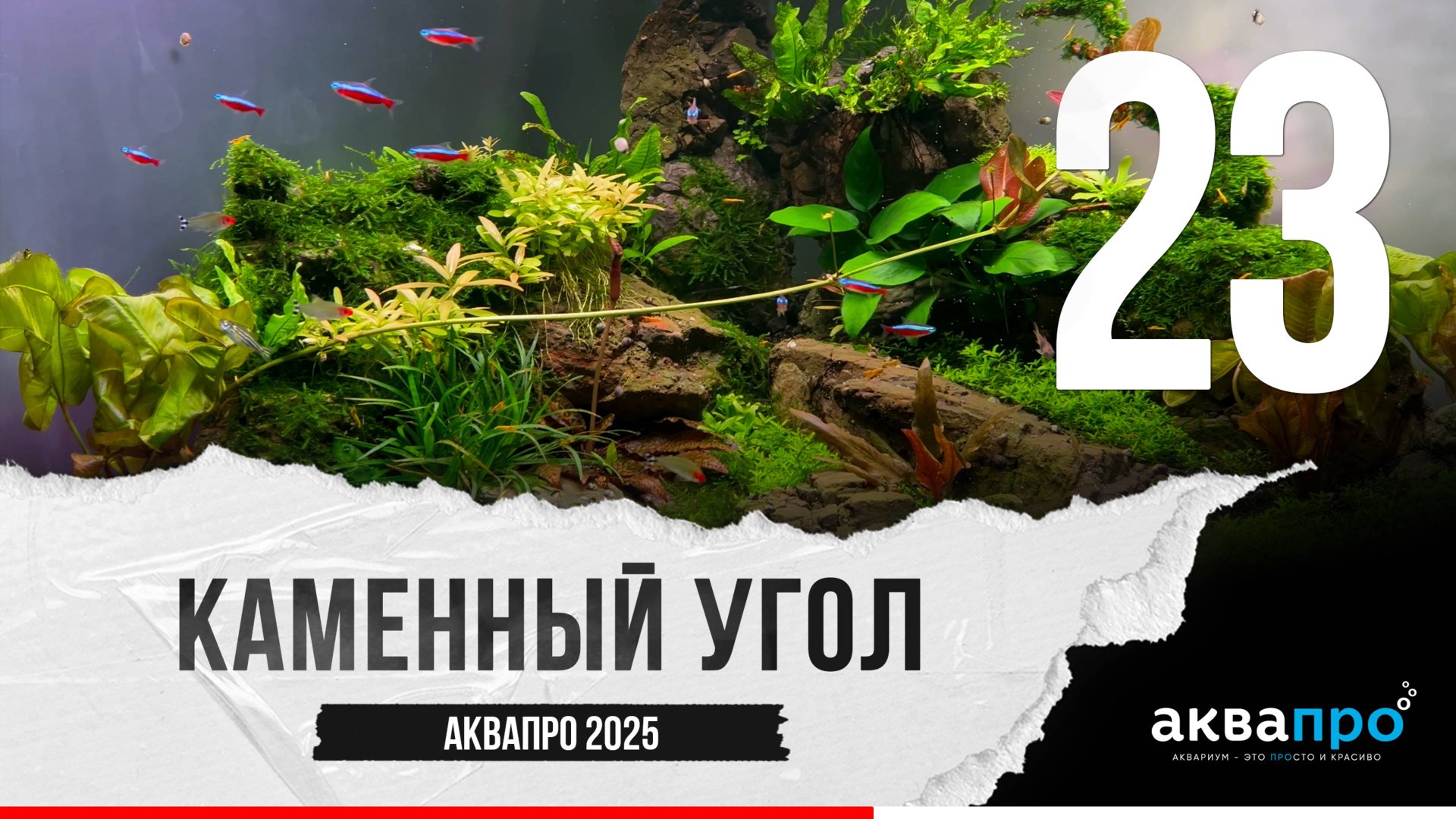 23. Каменный угол. #АкваПро