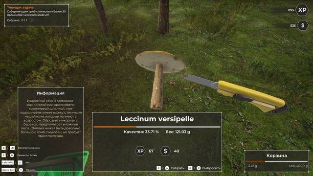 MUSHROOM HUNTER WORLD #1 прохождение