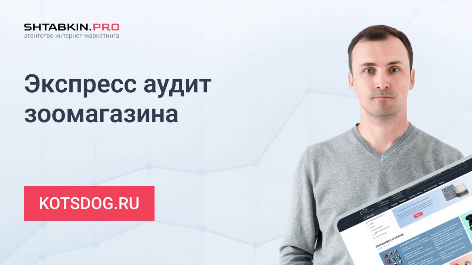 Экспресс аудит зоомагазина kotsdog.ru