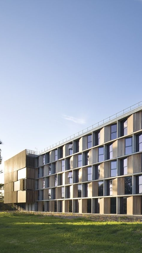 типичное заселение в общежитие