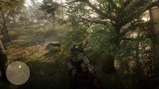 Red Dead Redemption 2 2025.10.09 - 11.52.49.01