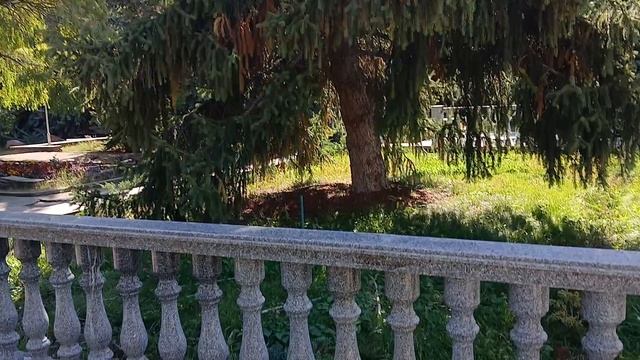 День 4 й Аврора.Парк.