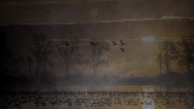 12 - Unity (Being Alone Epilogue)