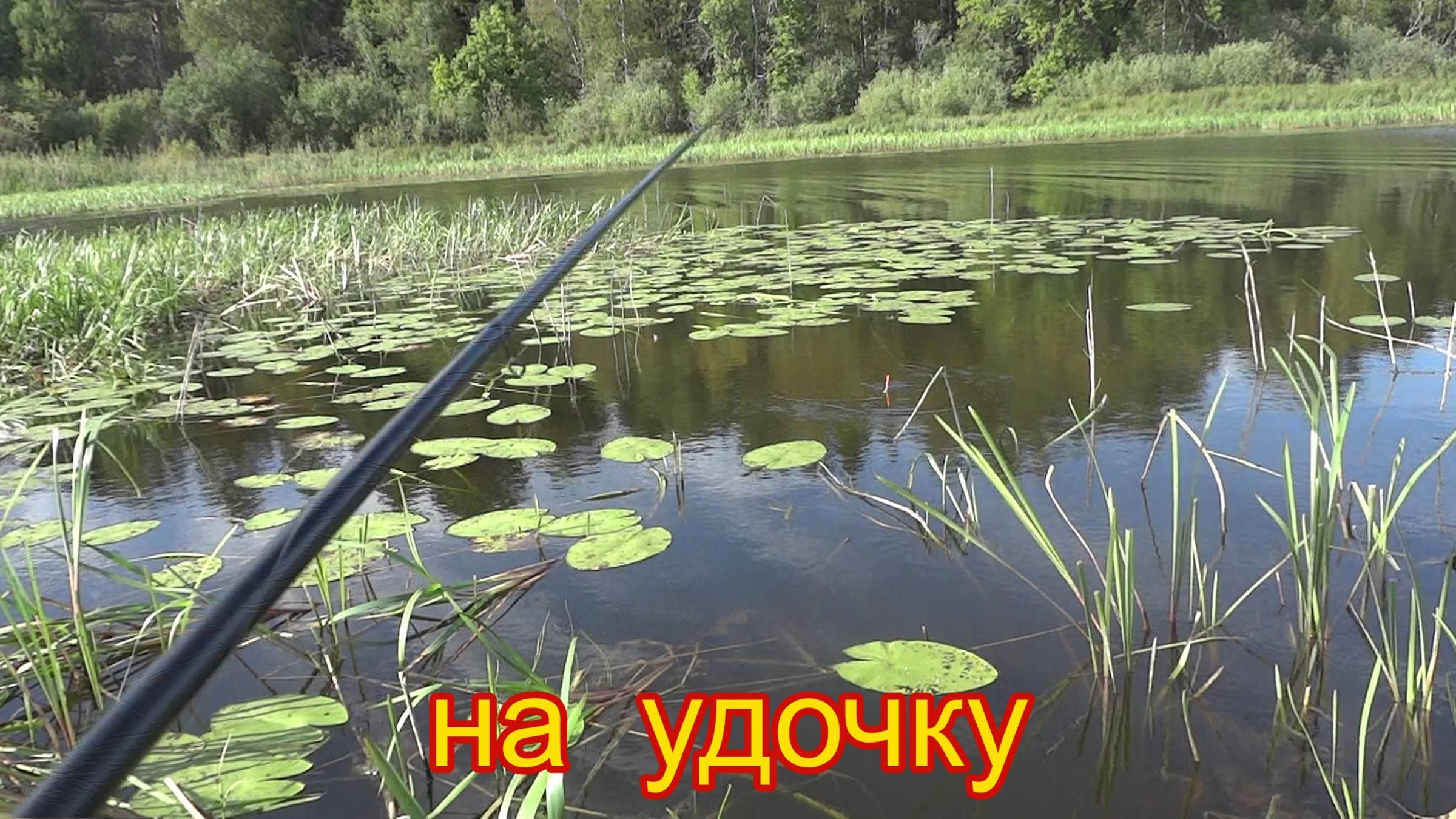 Удочка в тихом заливе иногда выручает при сильном ветре.