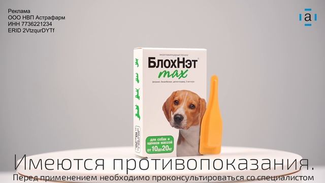Распаковка БлохНэт max для собак от 10 до 20 кг