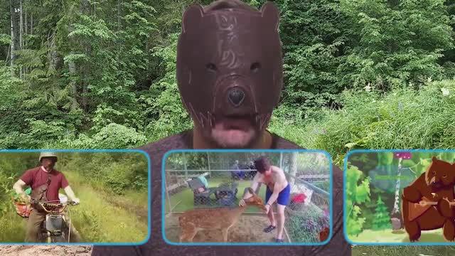 Мишкино приветствие 🐻🦌🌲