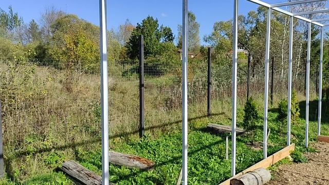 √4. Череночник для выращивания туй.