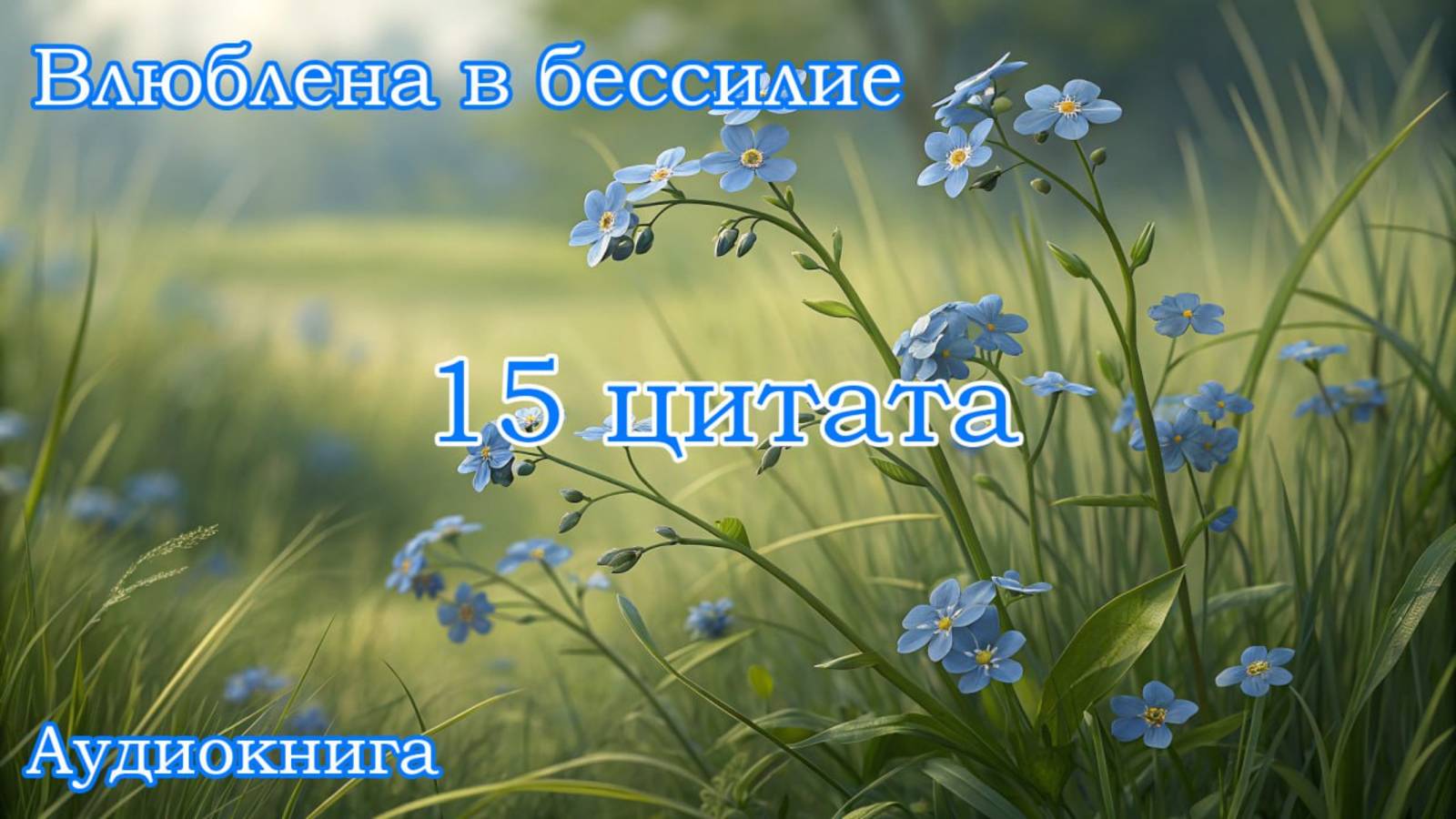 Влюблена в бессилие. 15 цитата